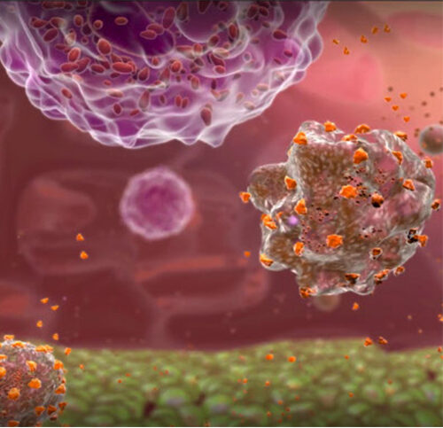 Laboratory Testing – CD Laboratories | Synovasure®