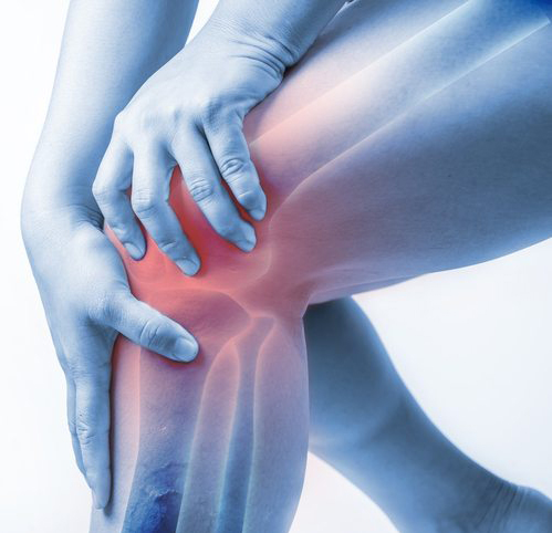 Laboratory Testing – CD Laboratories | Synovasure®